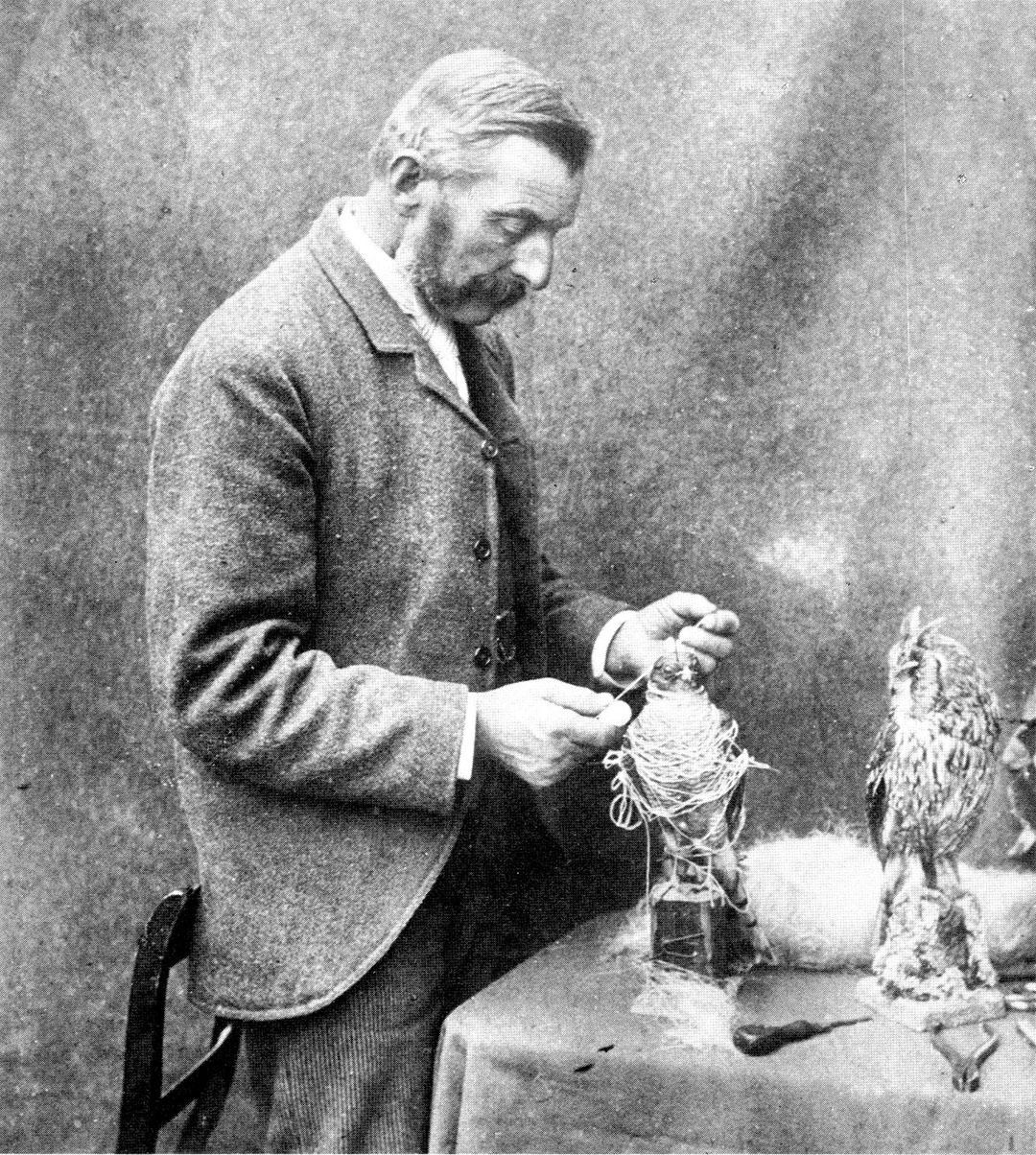 Dead Animals: Beatrix Potter on an Acid Trip | The Baby Bloomer